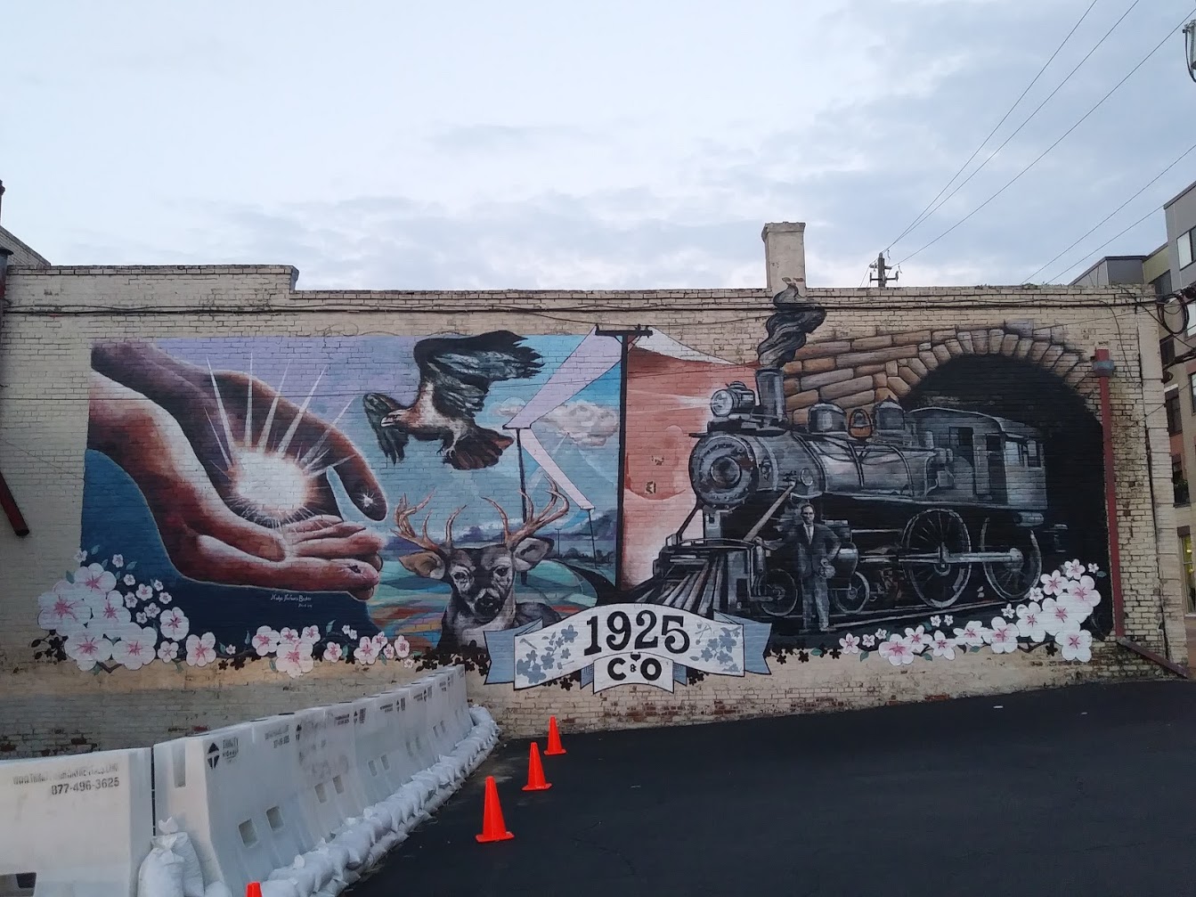 Steam Train Adventures: A Collection of Train Murals