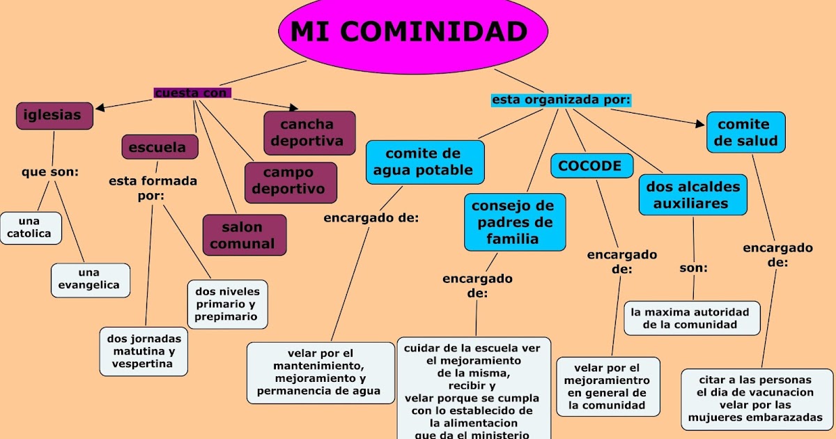 MI BONITA COMUNIDAD: LA COMUNIDAD
