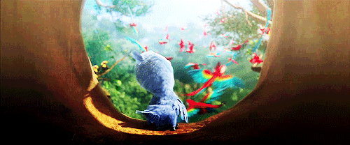 Gifs Fofos: Gifs do filme Rio