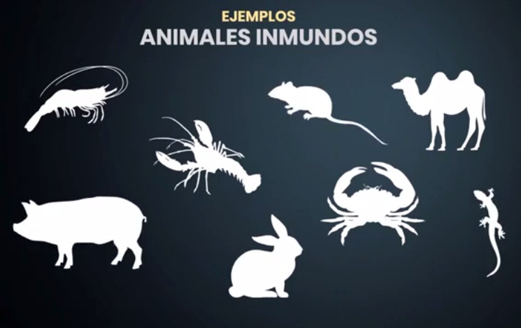 ¿LAS LEYES LEVITICA ESTAN ABOLIDA? - HEBREO.COM- JOHENDRY