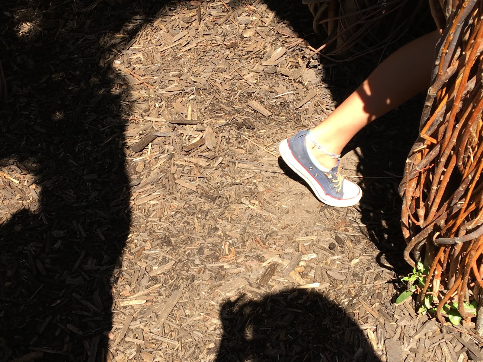 Mystery Foto Feet Gallery