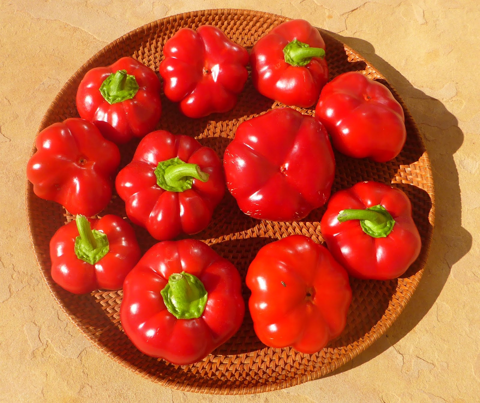 From Seed To Table: Harvest Monday - September 28, 2015