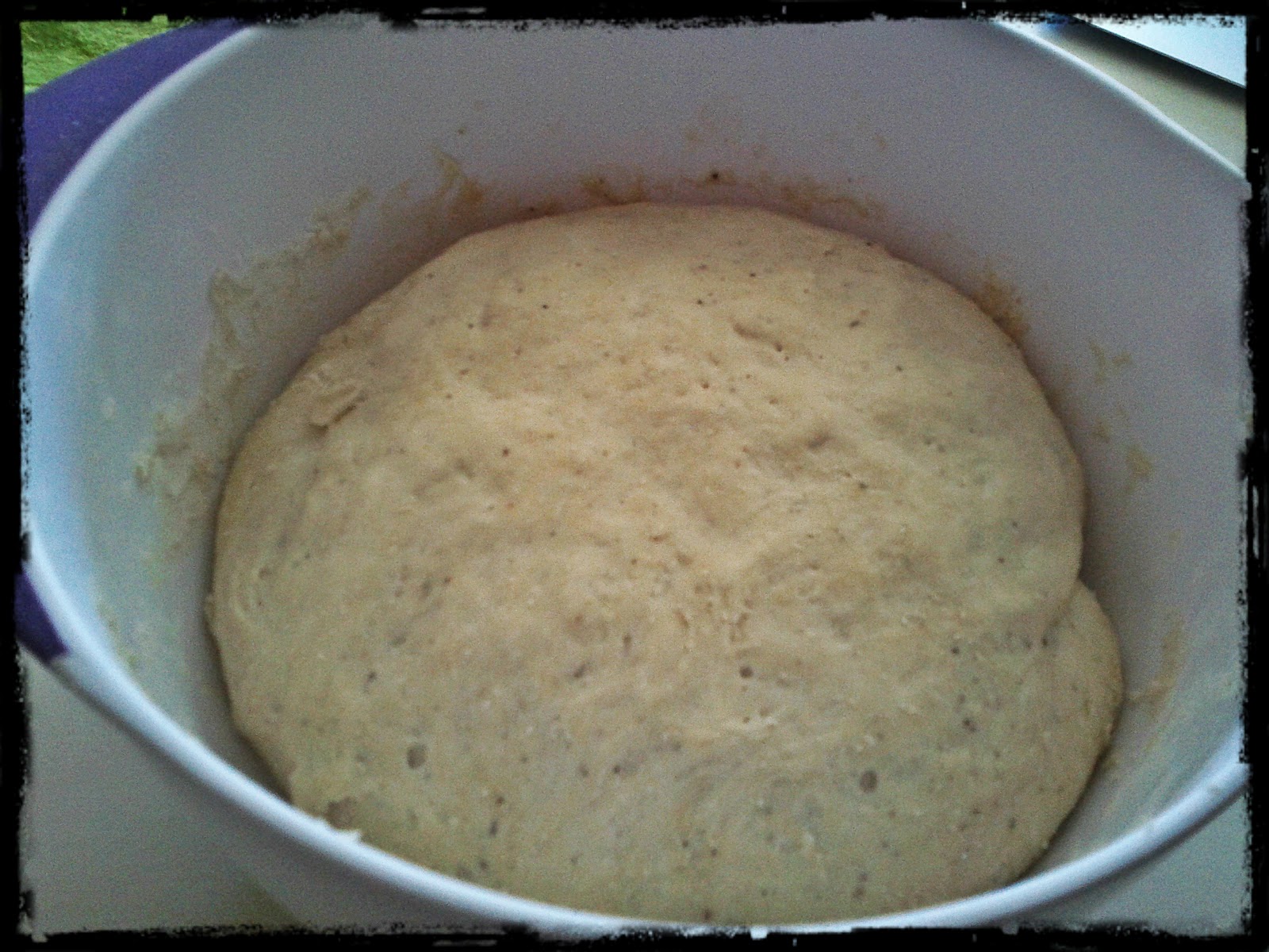 What to cook tomorrow