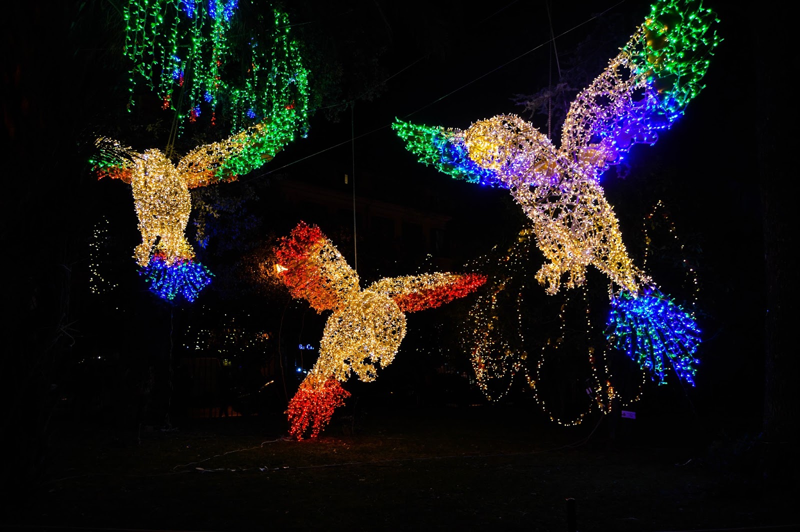 Accademia Italiana Language and Culture Centre Salerno : The Enchanting ...