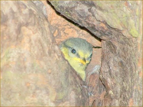 A Gurn from Nurn: About to leave home