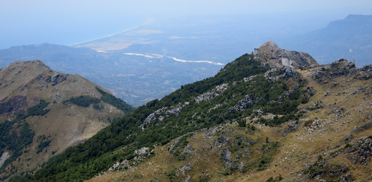 - TIMOR AGORA: Marka Signifikativu iha Luta ba Ukun Rasik An