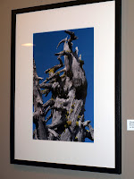 A Life Inspired by Nature: Talented People