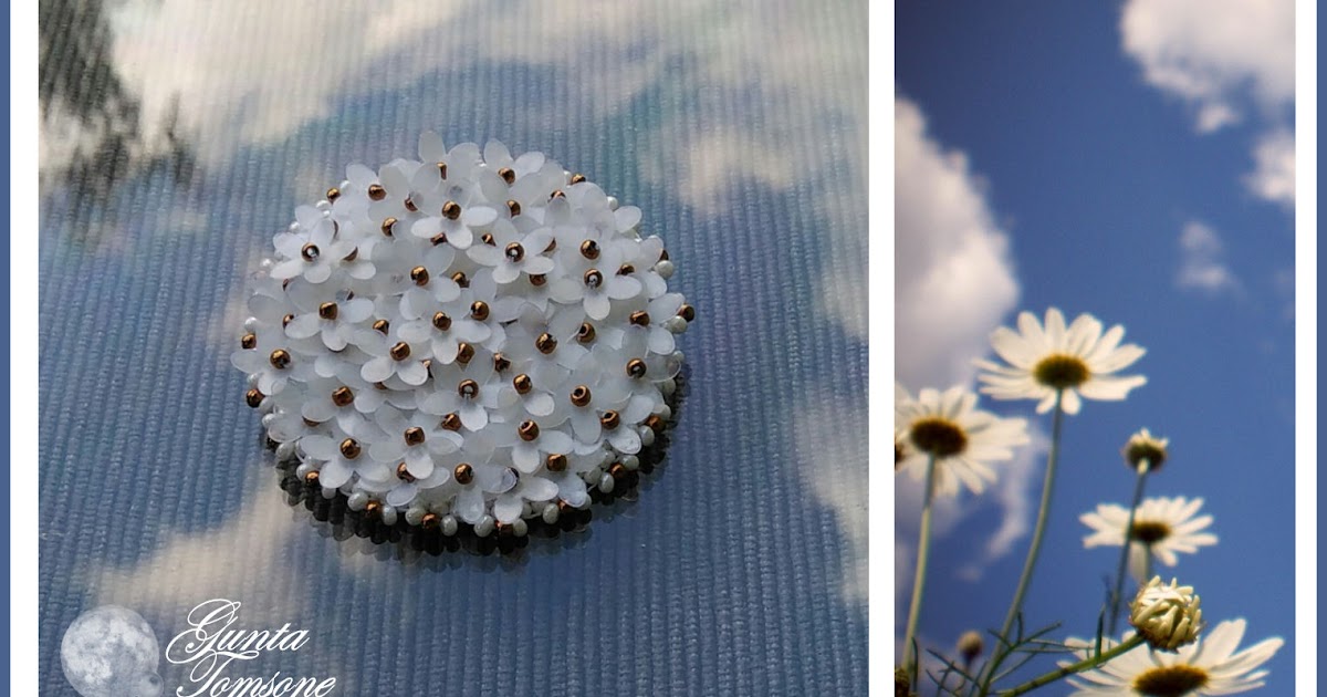 Pērļošana - dzīvošana: Pilna pļava baltu ziedu...