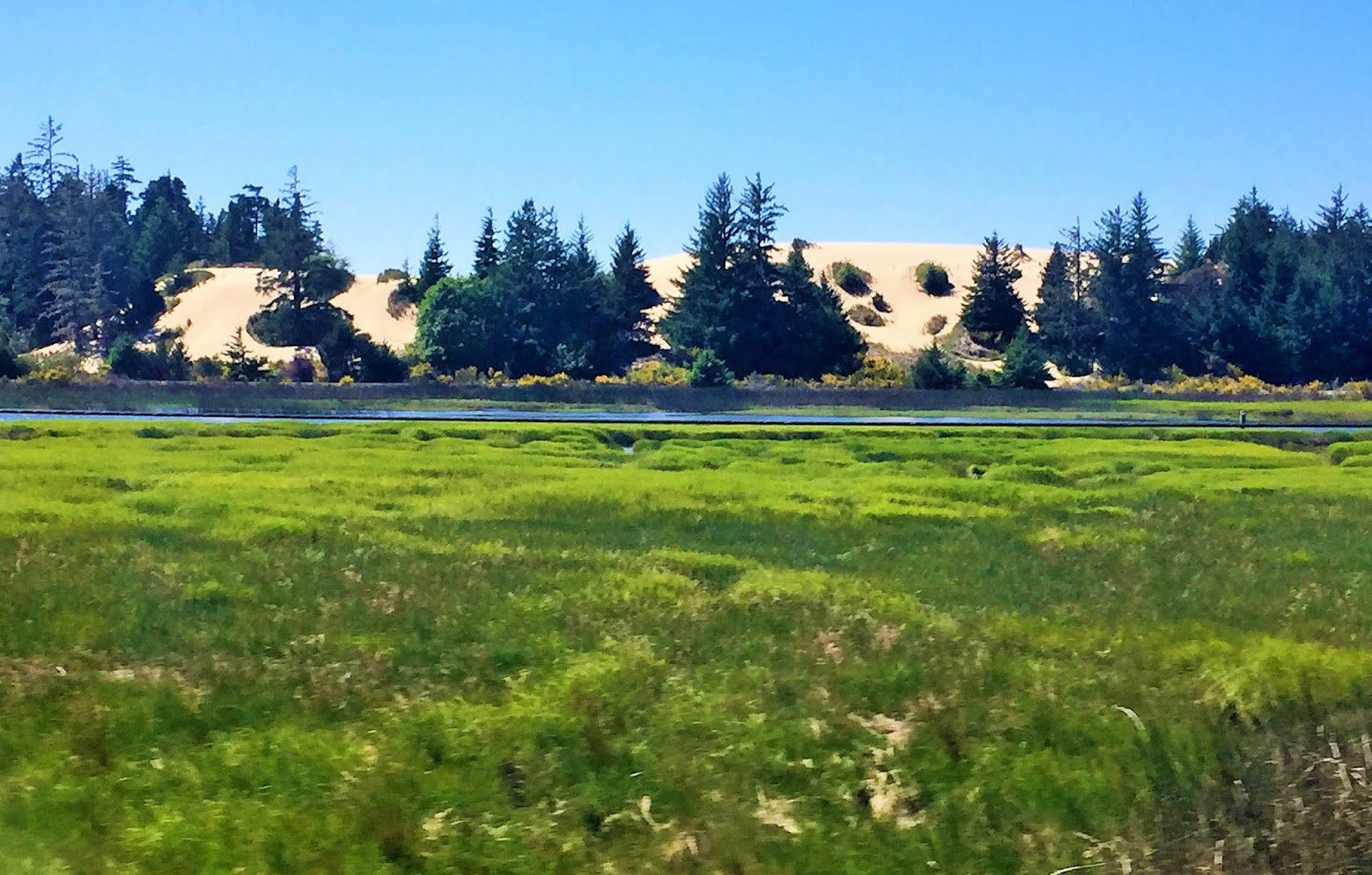 Down the Road: Coos Bay & Beach Time - Oregon