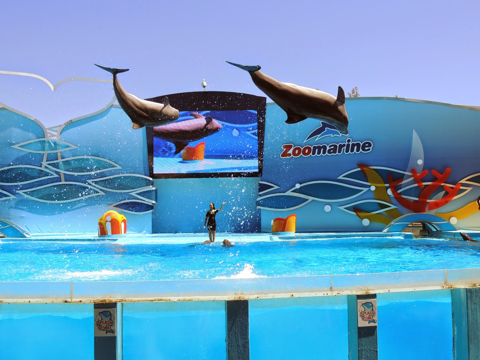 O amor é mágico...: Um dia @Zoomarine