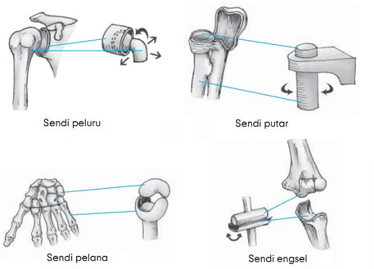 MATERI KELAS 5: IPA TEMA 1 SUB 3 KD (3.1 DAN 4.1)