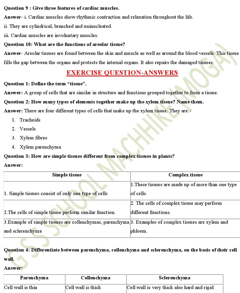 Chapter 6 Tissues - Class 9