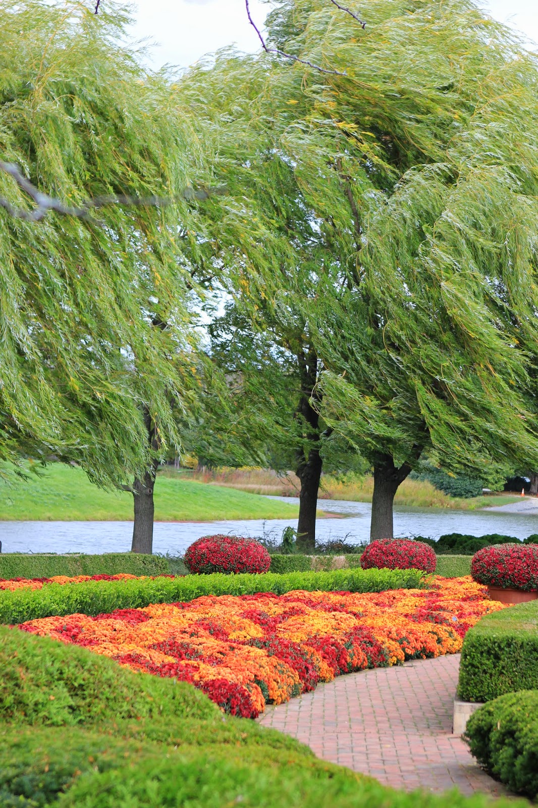 Romancing the Home: Fall Color at the Chicago Botanic Gardens