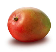 Gastronomía a Libreta Abierta, [=I=]: Mango