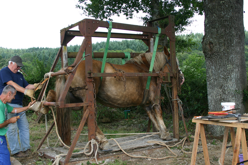 Les colis de la vie: Noyant d'Allier le 10 juillet 2012