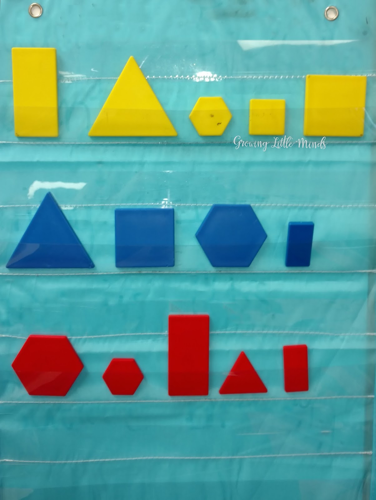 Growing Little Minds: Categorizing and Sorting in Kindergarten