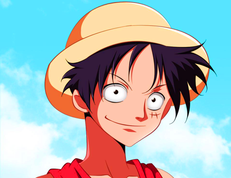 [最新] one piece 800 435718-One piece 800