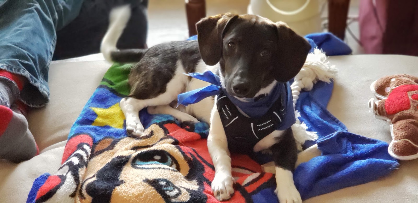 crumbs from His table