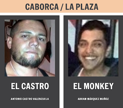 Notable Figures: Caborca Cartel, Los Gigio, Los Olivas, La Plaza ...