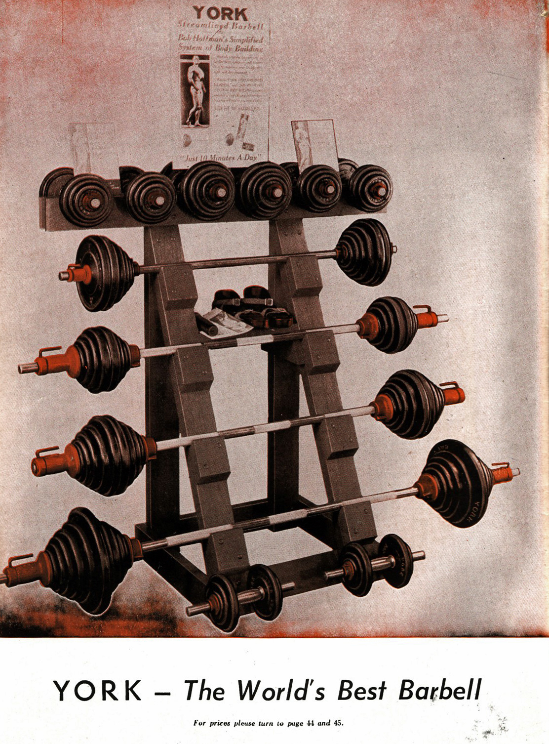 Muscle Museum Forum: Past Issues