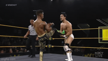 Ultimate Wrestling Gifs: