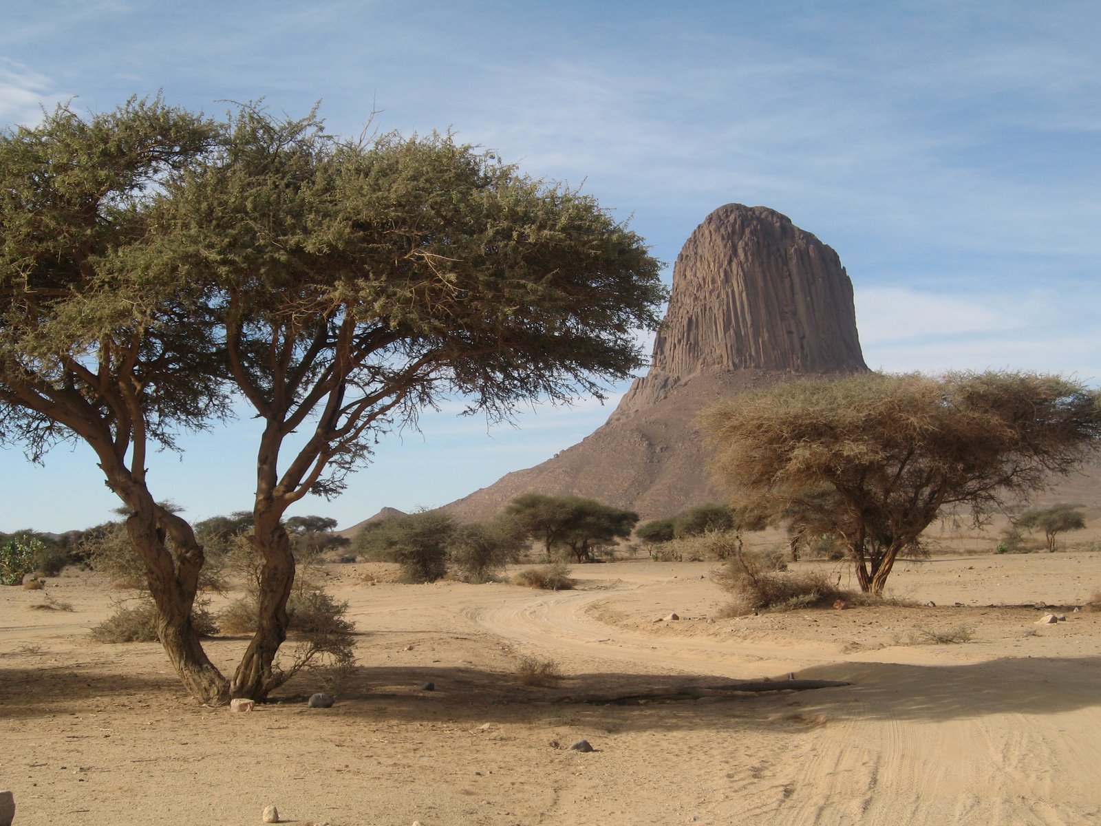 Traversé par le tropique du Cancer à 80 km au nord de Tamanrasset, il ...