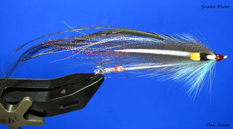 daijones flies: Elvers and toucans