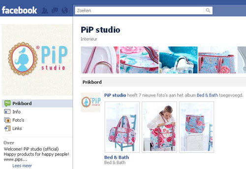 PiP studio