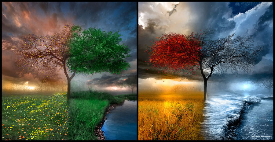best photos 2 share: 7 Pictures of The Contrast of the Seasons Expressed