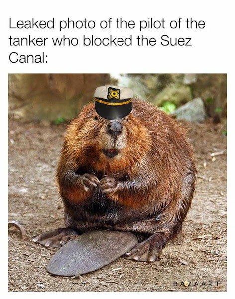 23 Memes React To Suez Canal blocked by huge container ship Evergreen