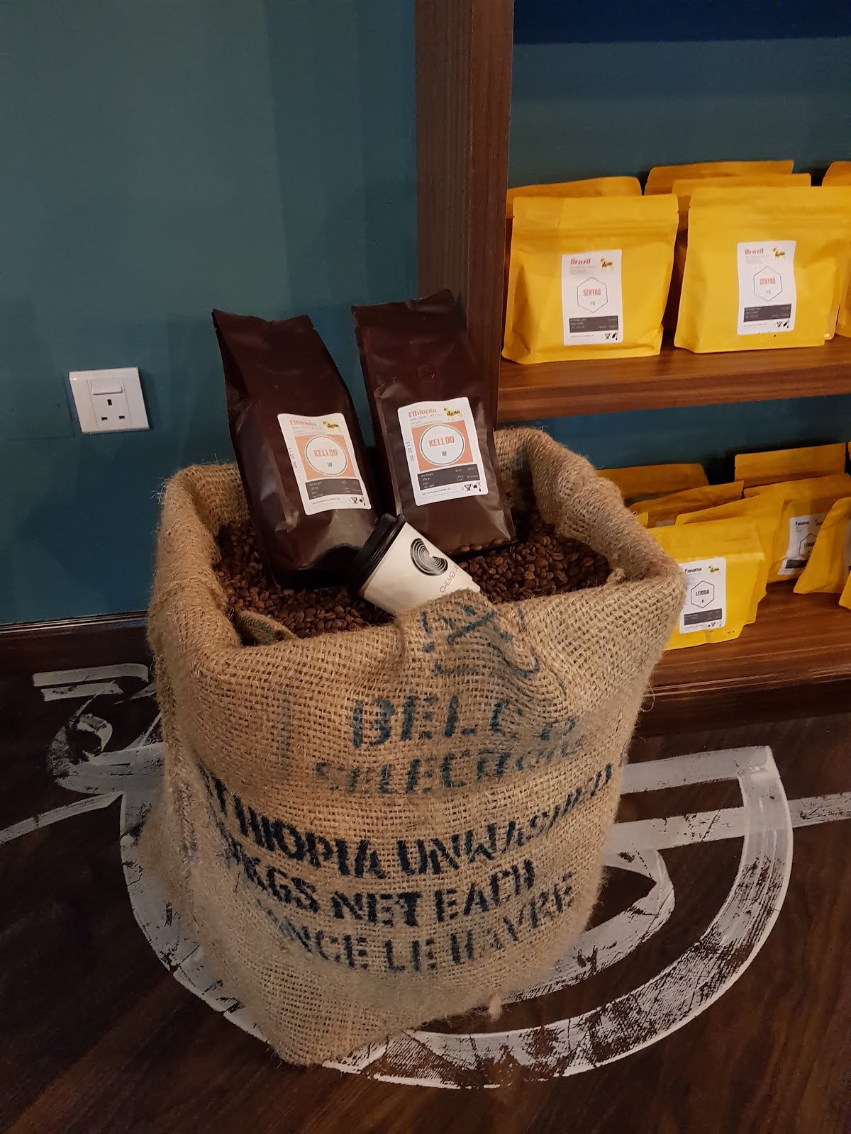 Chemex Lab - Books and Coffee