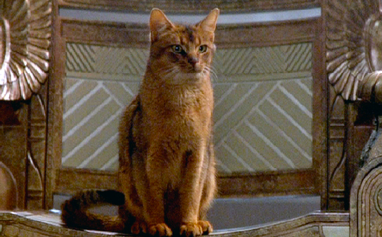Perspective: Stargate, the movie