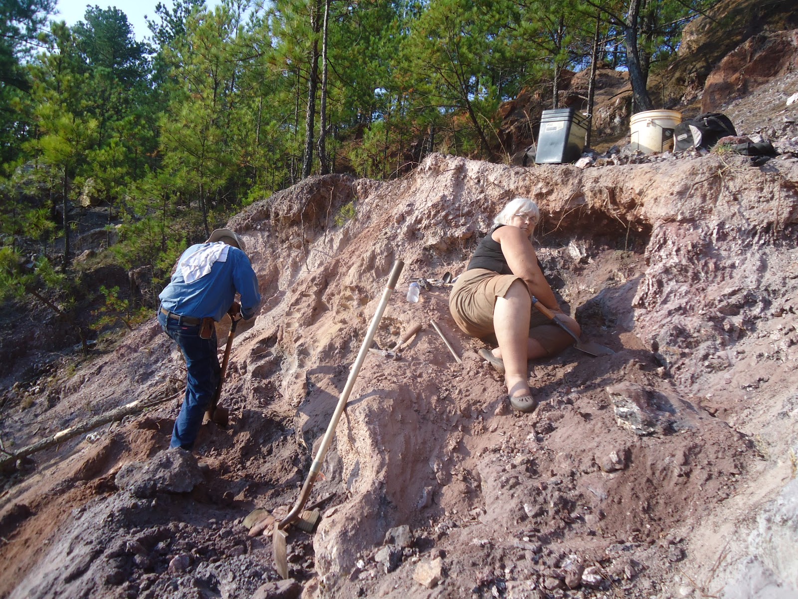 Mayer Rocks and More...: Rock Hunting at Graves Mountain, GA