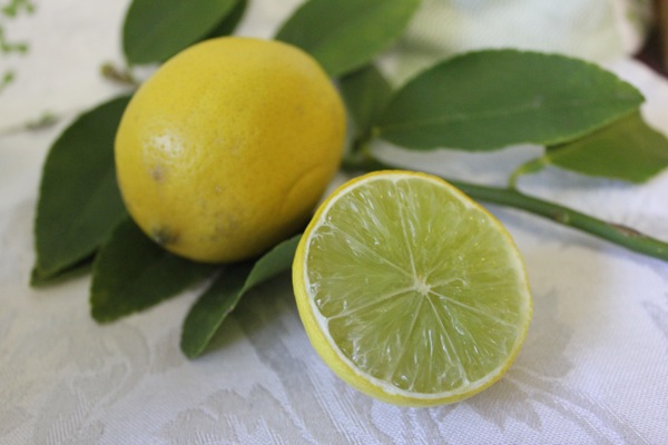 Green Gourmet Giraffe: Limes: history, trivia and limeade