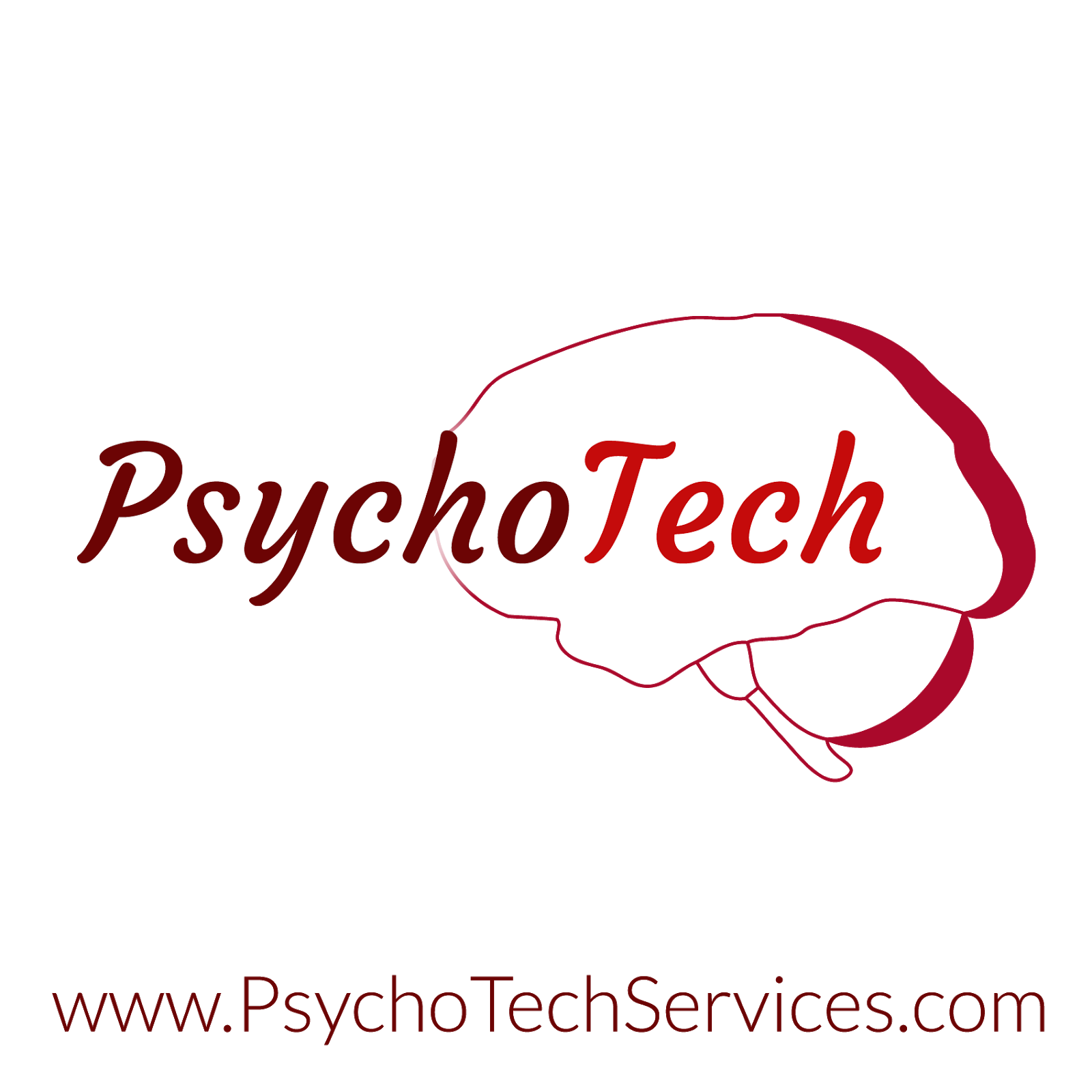 About Us - PsychoTech Services