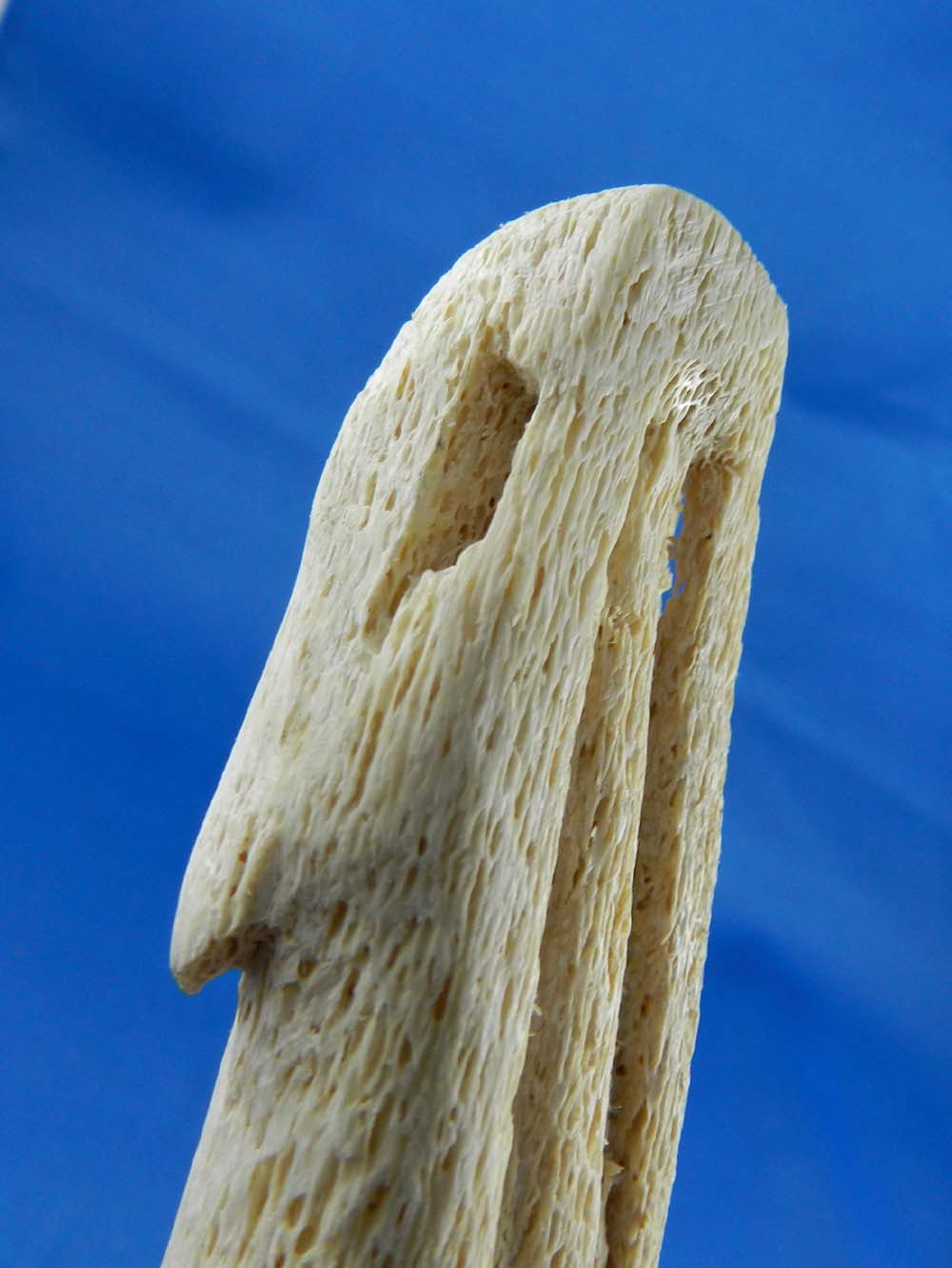 Elfshot: Whalebone Whatzit