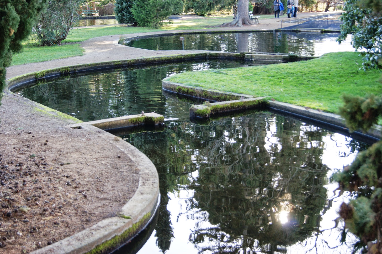 On The Convict Trail: The Salmon Ponds