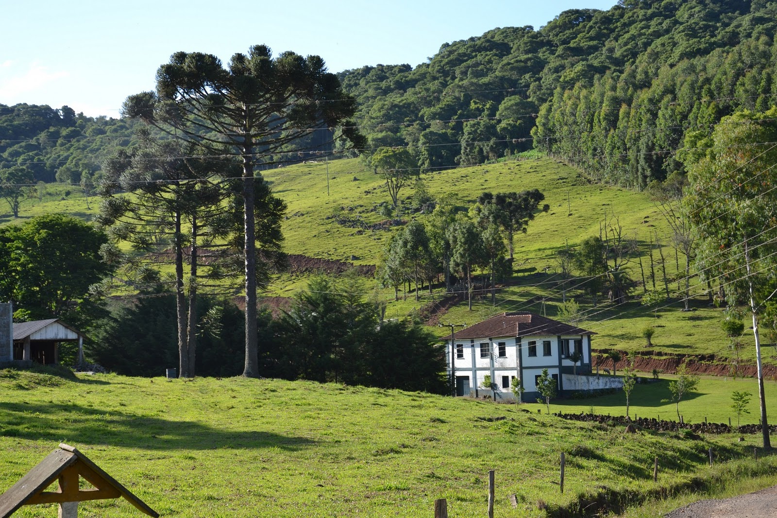 ANALISTA PRA QUE?: Trilha Linha Babenber e Pinhal - Treze Tílias /SC