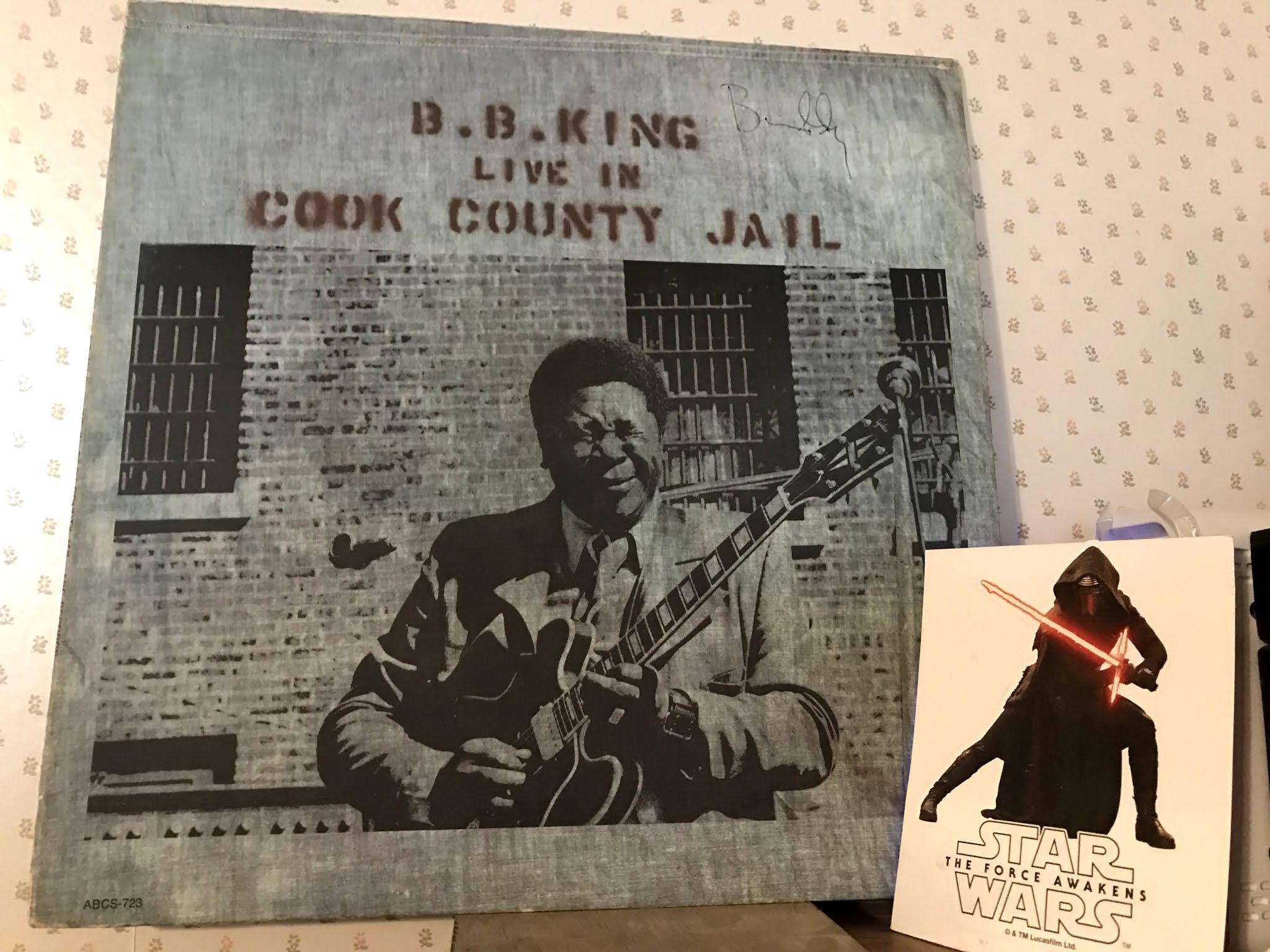 The College Crowd Digs Me: TCCDM Pulls One Out..."Live In Cook County ...