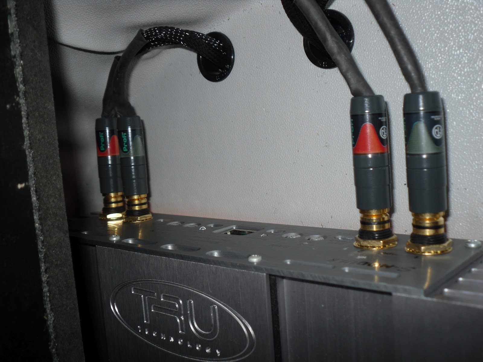 Raion RCA / Interconnect and Speaker Cables