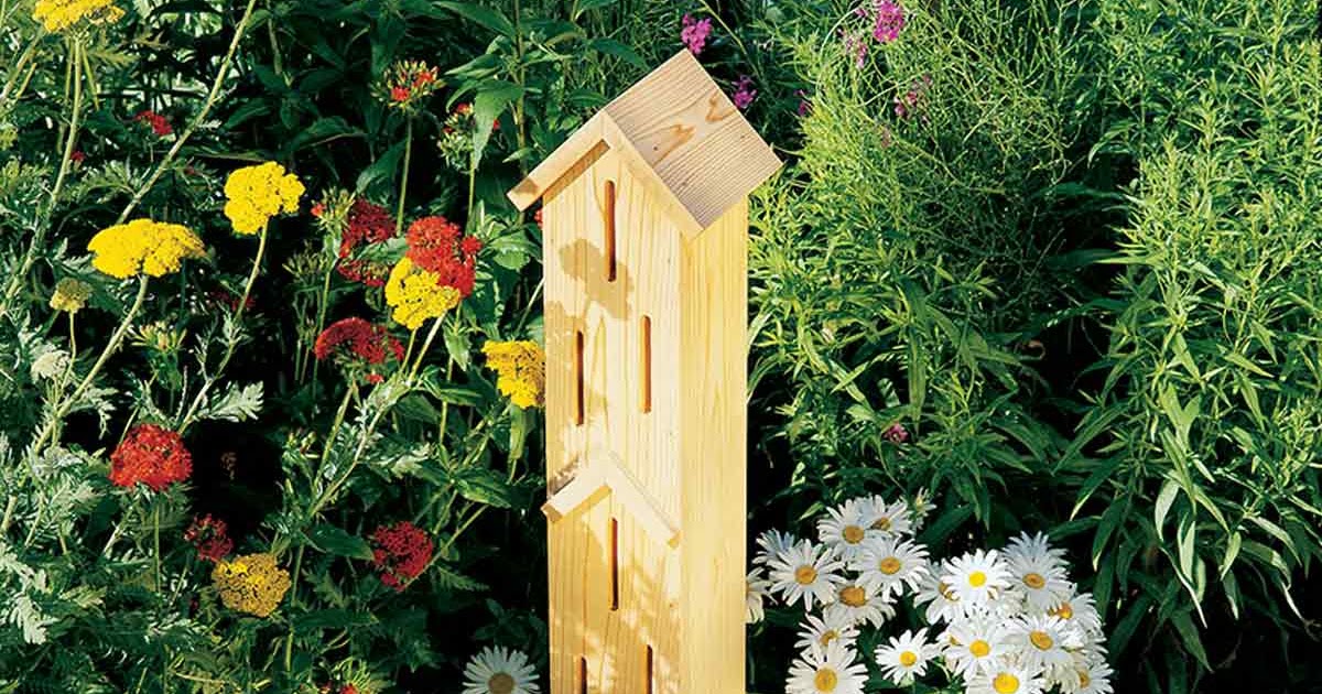 Butterfly House Plans - Bathroom and Garden