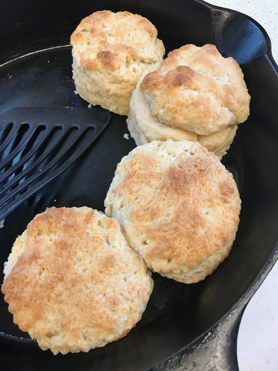 Yesteryear Acres - Doodle Days : Thankful for Sunday Morning Biscuits