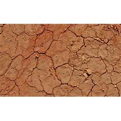 Shipslog: North Carolina Red dirt (clay)