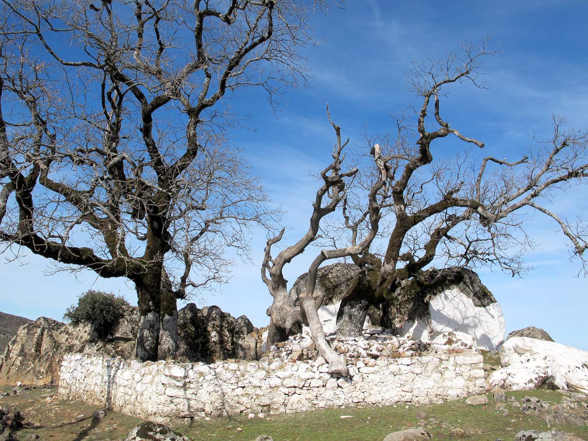 SENDERISMO EN EL RIF/RANDONNÉES DANS LE RIF