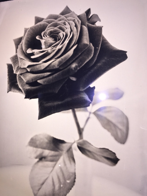 Kane Kennedy: Sam Cornwell (photographer)