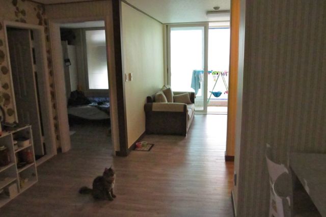 What We've Been Up To: Our Korean Apartment