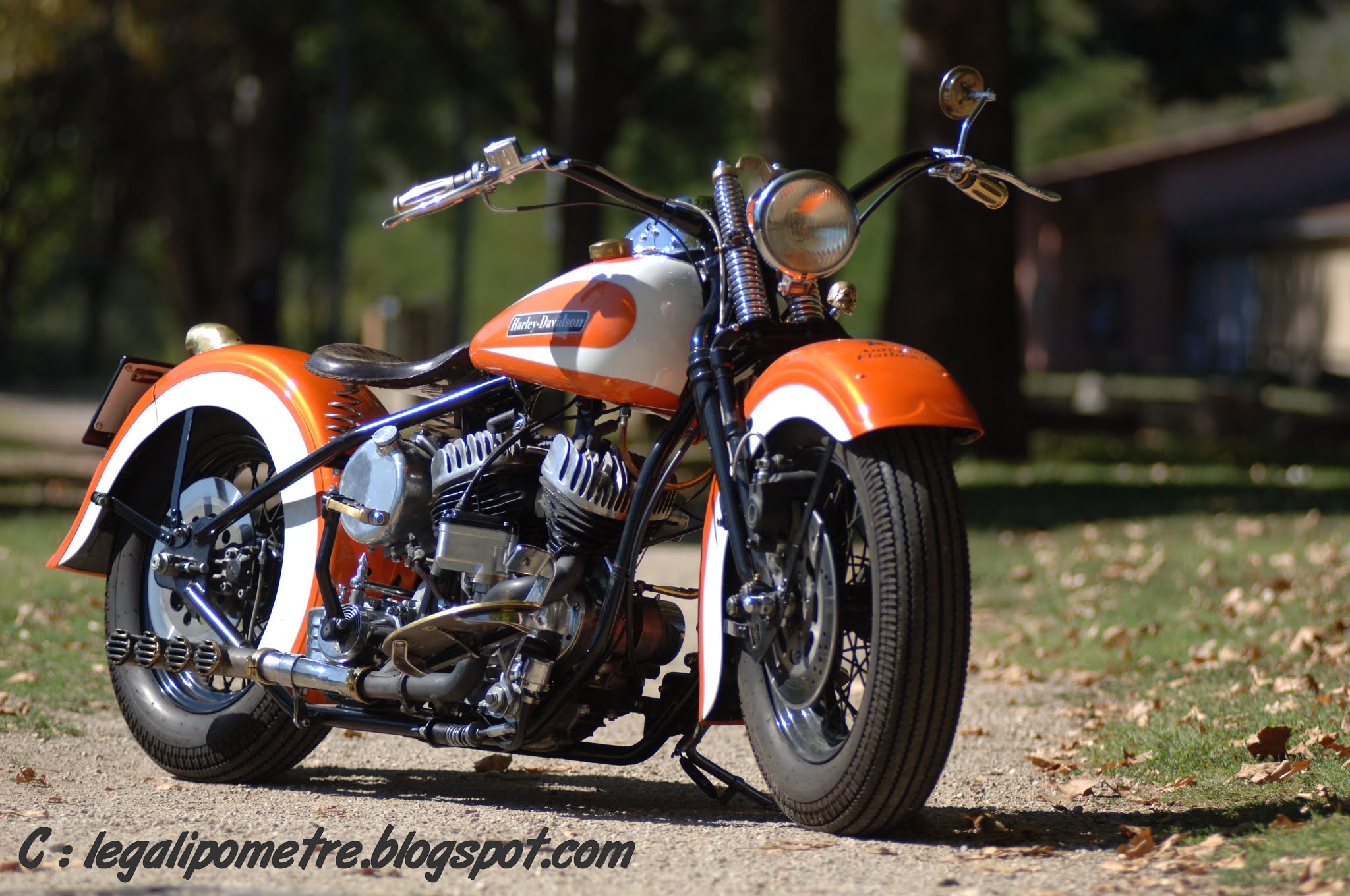 Le Galipometre: Bobber Harley Davidson 750 WLA