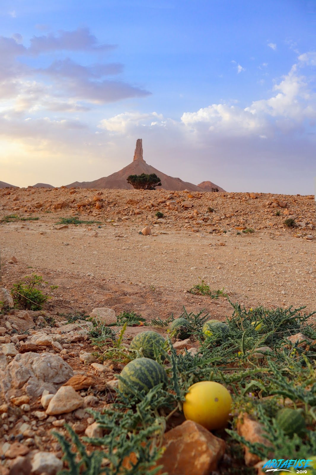Faisal's Finger the Hidden Beauties of Saudi Arabia ~ Trip Aventure