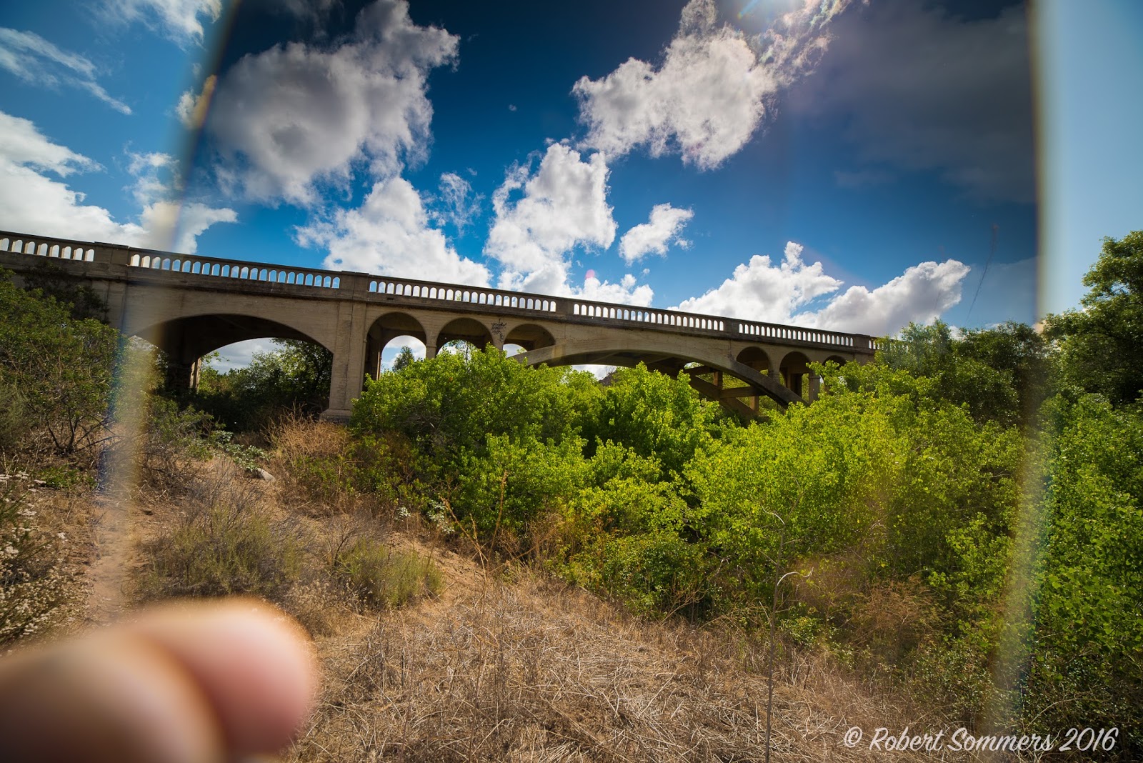 Blue Heron Blast: Old Bonsall Bridge