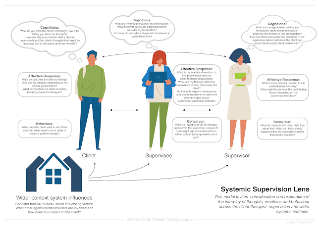 Developing a Systemic Supervision Lens